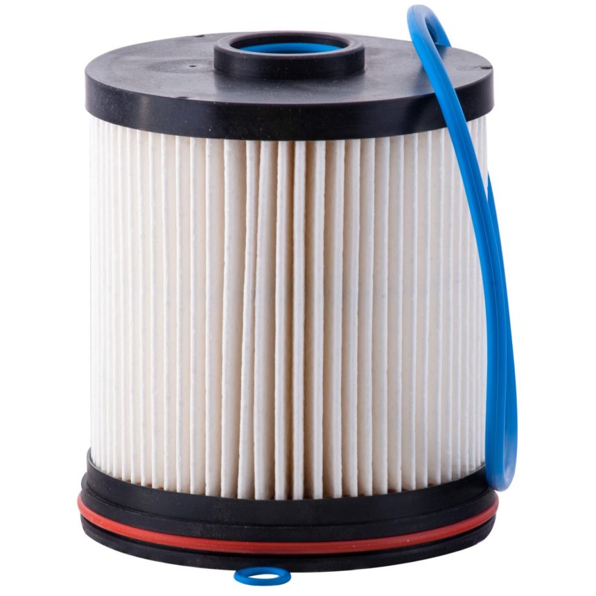Guard Plus